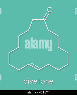 Civetone civet cat pheromone molecule. Used in perfume. Stylized ...