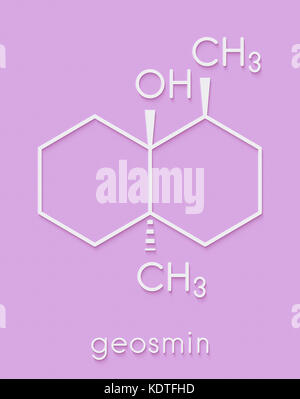 Geosmin earthy flavor molecule. Responsible for the typical taste of ...