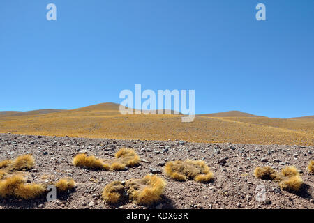 Argentina, Salta region, Puna desert Stock Photo - Alamy