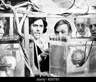 The Final Programme (1973) Jon Finch, Date: 1973 Stock Photo - Alamy