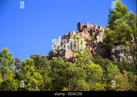 Esterel mediterranean tree, red rocks coast, beach and sea. French ...