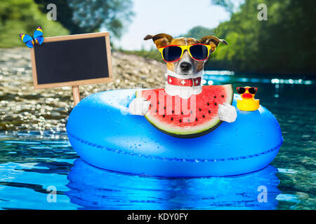 Watermelon swim ring in the empty clear pool. Swimming pool top view ...