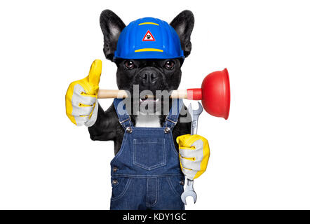 plumber dog with plunger Stock Photo - Alamy