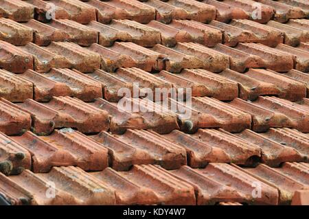 Life in the village of Carrega Ligure, Piedmont, Italy Stock Photo - Alamy