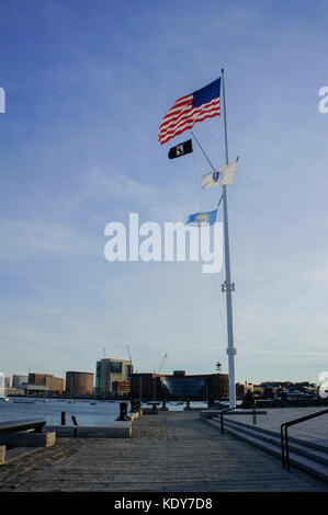 USA, Massachusetts, Boston, American flags planted on Boston Common as ...