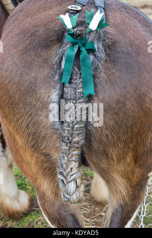 plaited tail of horse Stock Photo - Alamy