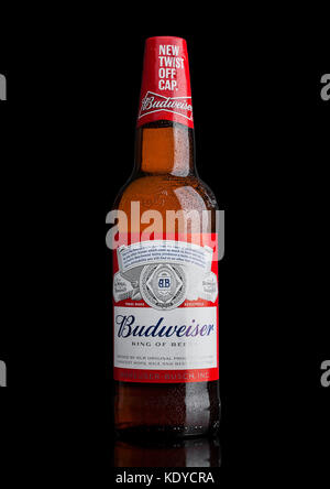 Bottle of ice cold Budweiser Beer, USA Stock Photo: 33231045 - Alamy