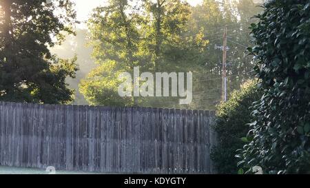 Early AM Steam Stock Photo - Alamy