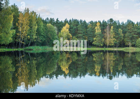 Lake in Riga, district Jugla. Autumn, yellow tree leaves, lake and ...