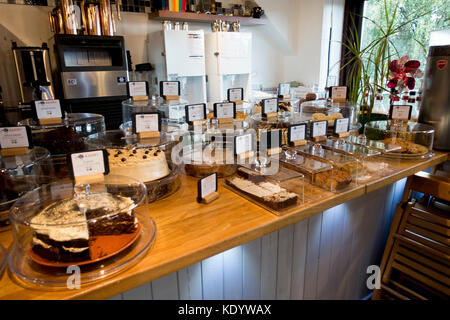 The Highland Cafe counter top cake display showing various cakes ...