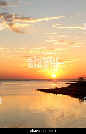 Rongcheng, China's Shandong Province. 17th Dec, 2016. A swan flies over ...