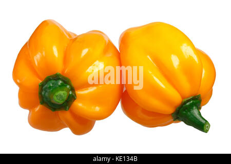 Numex Suave Orange chile peppers (Capsicum chinense, Habanero type ...