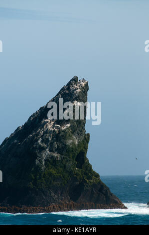 South Georgia Island, South Atlantic, Husvik Whaling Station Stock ...