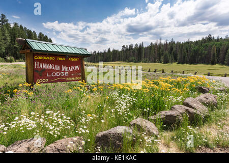 Hannagan Meadow Lodge, Alpine, Arizona Stock Photo - Alamy