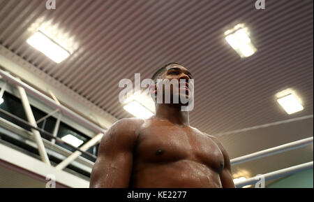 Anthony Joshua during the media session at the English Institute of ...
