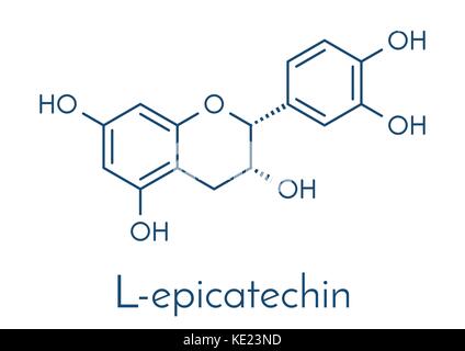 Epicatechin (l-epicatechin) chocolate flavonoid molecule. Skeletal ...