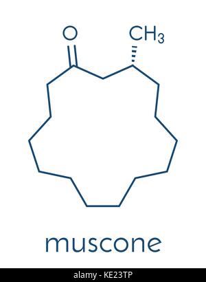 Muscone musk odor molecule. Skeletal formula Stock Vector Image & Art ...