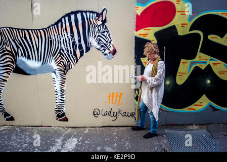 'Lady Kaur' graffiti of a Zebra, woman reading book beside the street ...