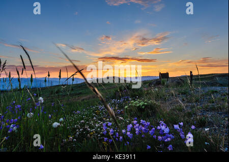 Eary morning Sunrise over Yellowstone Stock Photo - Alamy