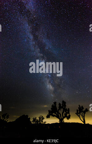 Bright Stars over Joshua Tree Desert Scene Stock Photo - Alamy