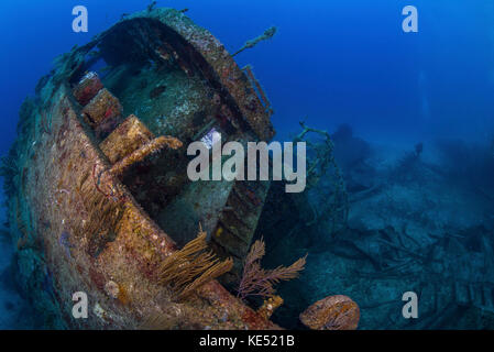Bahamas, Grand Bahama Island, Old Freetown, Lucayan National Park ...