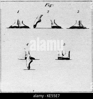 Dance steps of the Waltz. Sketches showing movements of waltzing. From ...