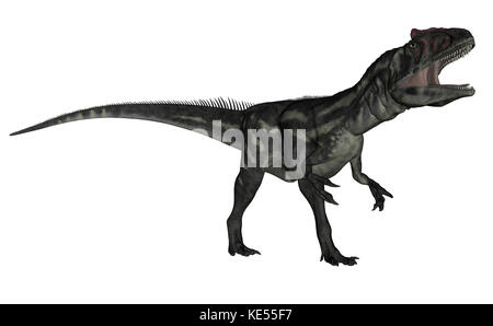 Allosaurus dinosaur, side view Stock Photo - Alamy
