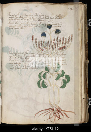 The Voynich Manuscript, one of the most famous undeciphered texts ...