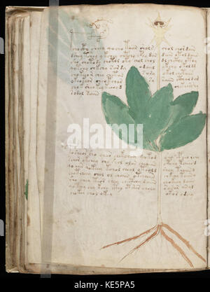 The Voynich Manuscript is an undeciphered 15th-century text, featuring ...