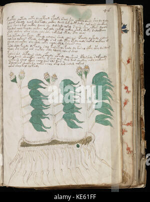 The Voynich Manuscript is an illustrated codex written in an unknown ...