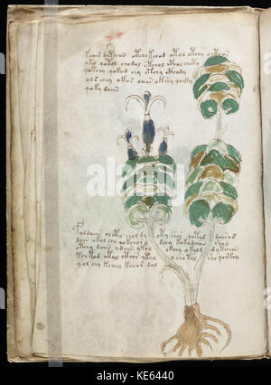 An image of a page from the Voynich Manuscript, a famous and mysterious ...