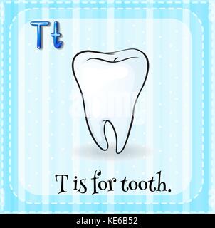 Flashcard letter T is for tooth Stock Vector Image & Art - Alamy