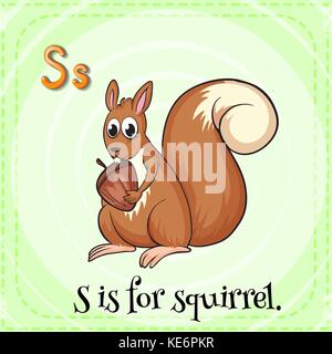 Flashcard letter S is for squirrel illustration Stock Vector Image ...