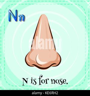 Flashcard letter N is for nose Stock Vector Image & Art - Alamy