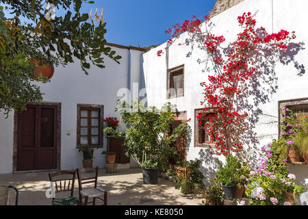 Flowers in Panagia Episkopi Church in Santorini island, Thira, Cyclades ...