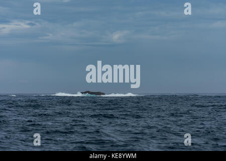 Kettles Bottom, the Manacles rocks, Cornwall Stock Photo - Alamy