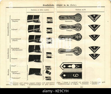 Gradbeteckningsplansch, a Swedish military rank insignia chart from ...