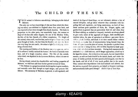 9 Charles Catton, Animals (1788) Page47 Image1 Stock Photo - Alamy