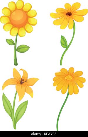 four botanic flowers garden decoration Stock Vector Image & Art - Alamy