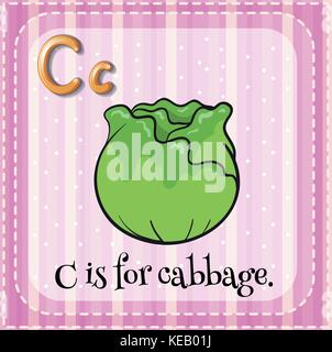 Flashcard letter C is for cabbage Stock Vector Image & Art - Alamy