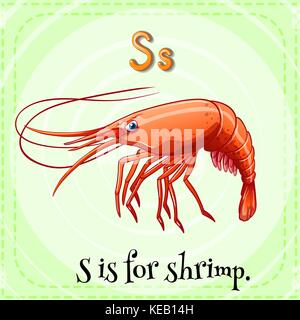 Flashcard letter S is for shrimp illustration Stock Vector Image & Art ...