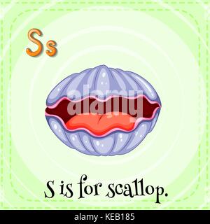 Flashcard letter S is for shell Stock Vector Image & Art - Alamy