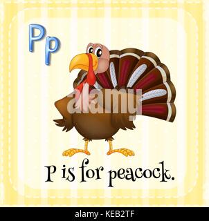 Flashcard letter P is for peacock illustration Stock Vector Image & Art ...