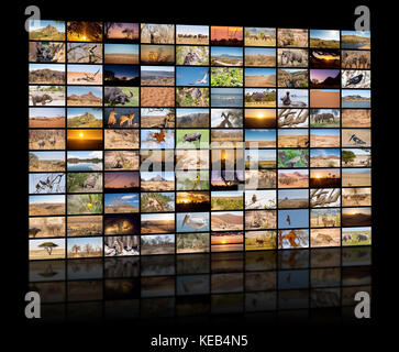 african landscapes collage Stock Photo - Alamy