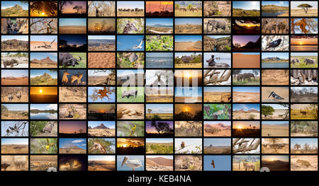 african landscapes collage Stock Photo - Alamy