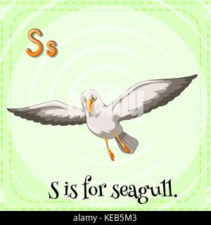Flashcard letter S is for seagull Stock Vector Image & Art - Alamy