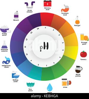 The pH scale Universal Indicator pH Color Chart diagram acidic Stock ...