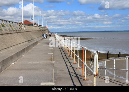 Hard engineering coastal defences sea wall, concrete steps, wooden ...