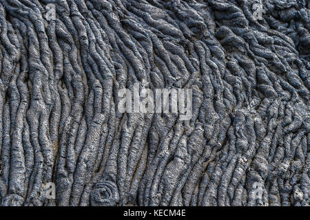 Pahoehoe or rope lava, on Rabida Island, Galapagos. It is formed of ...