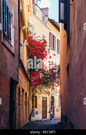 woman, sightseeing, Rome, roma, tourist, dapper, accosting, pretty ...